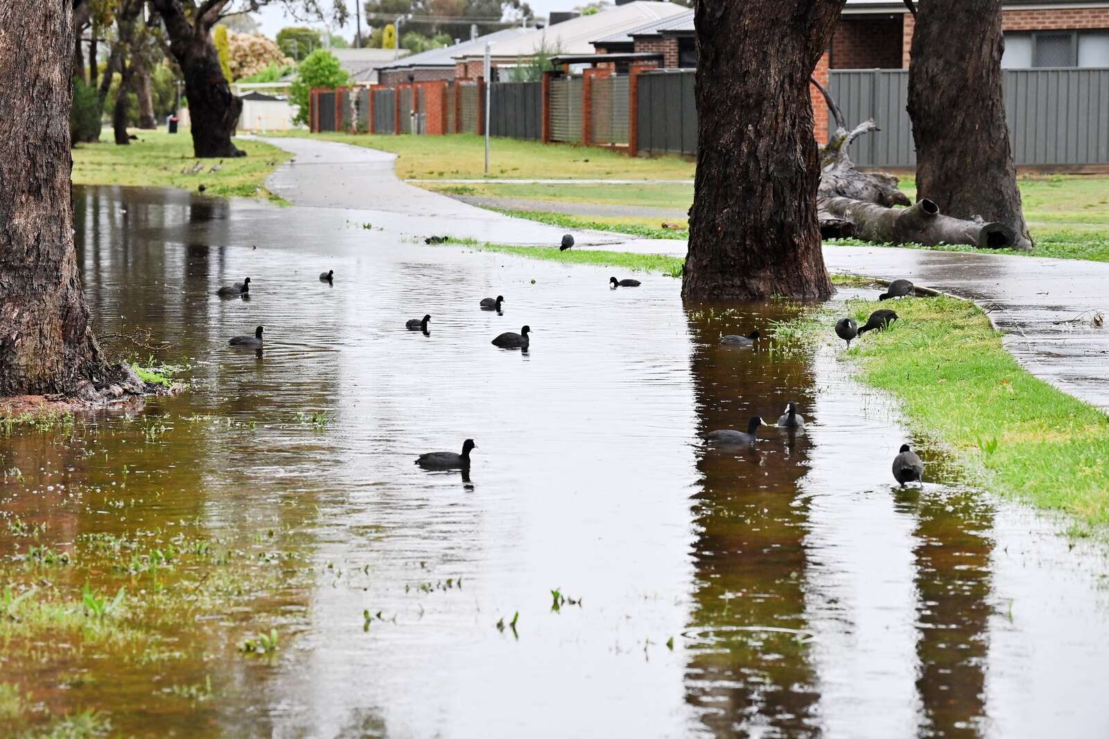 2023 showed record-breaking temperatures | Shepparton News