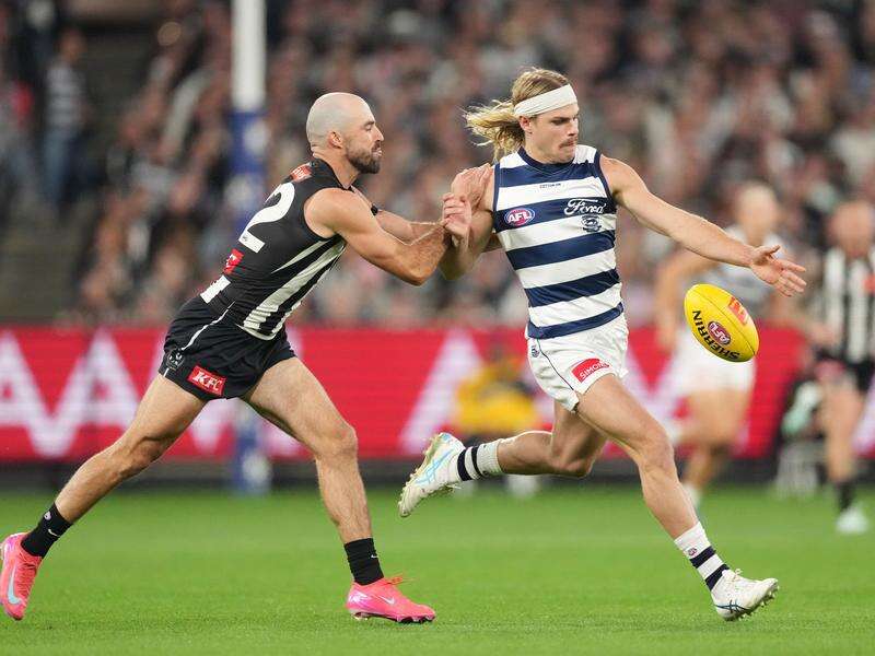 Smith has dig at Bulldogs after Cats' epic AFL win | Campaspe News