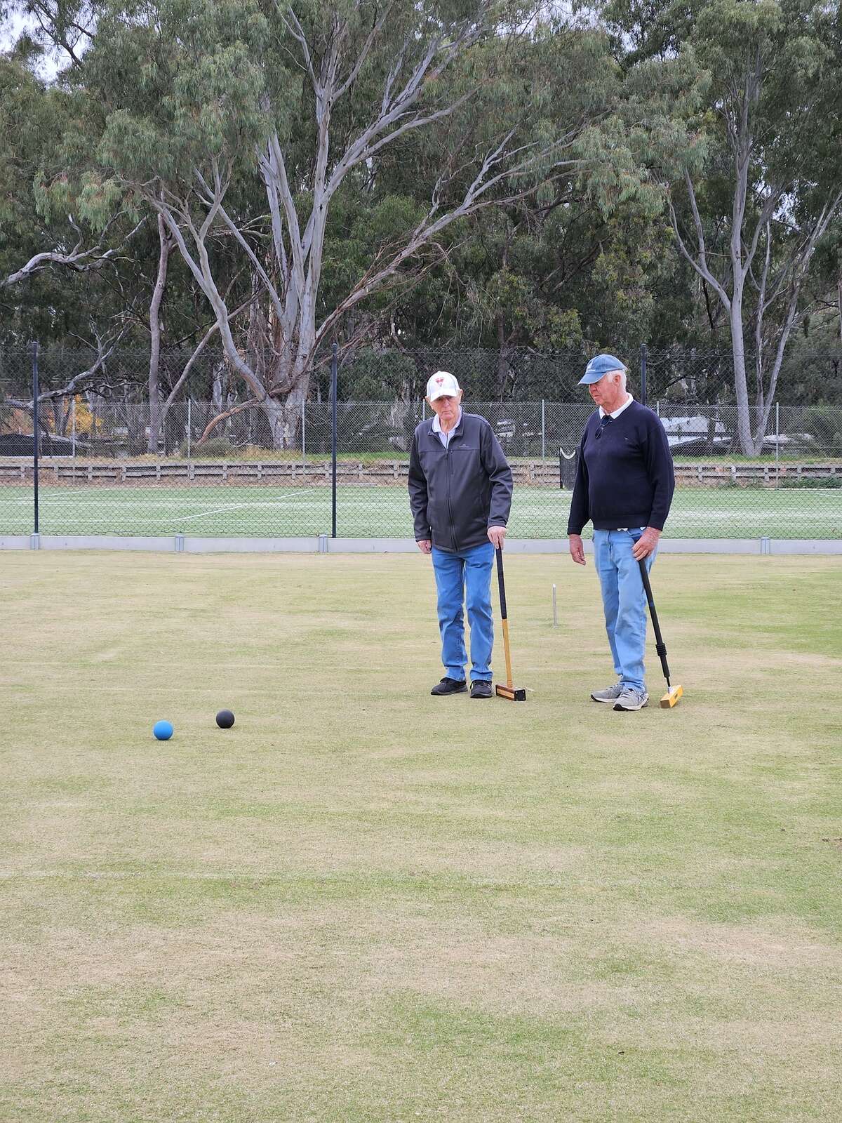 Bull showing good form ahead of tournament | Deniliquin Pastoral Times