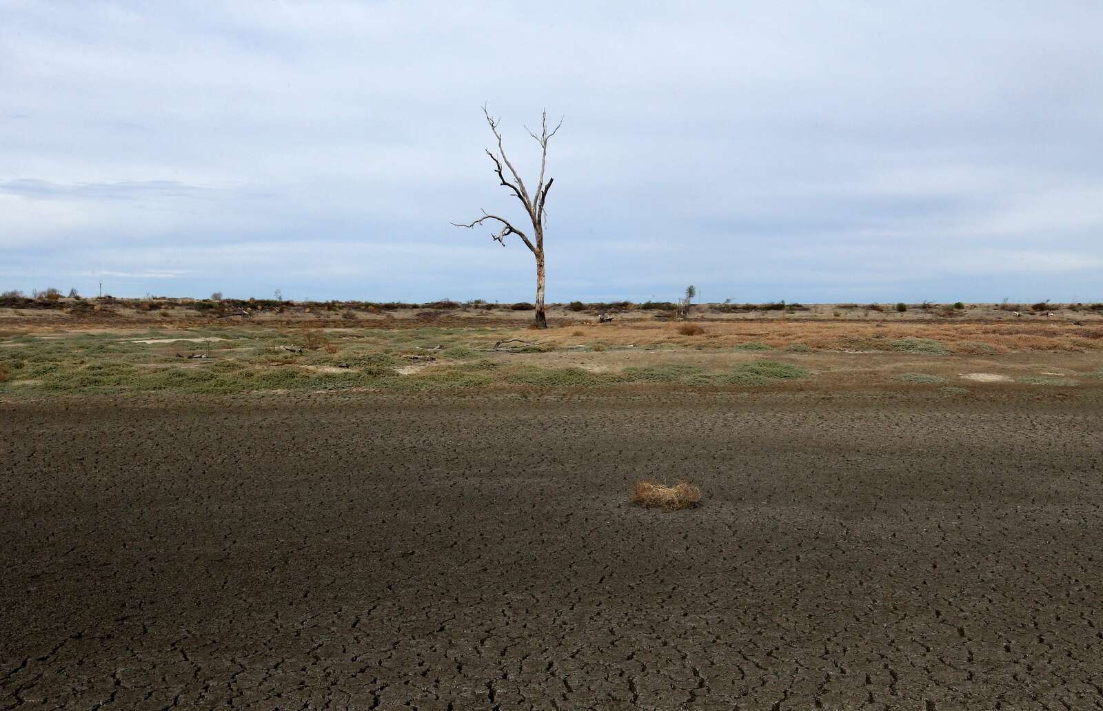 Councils develop drought plan | Country News