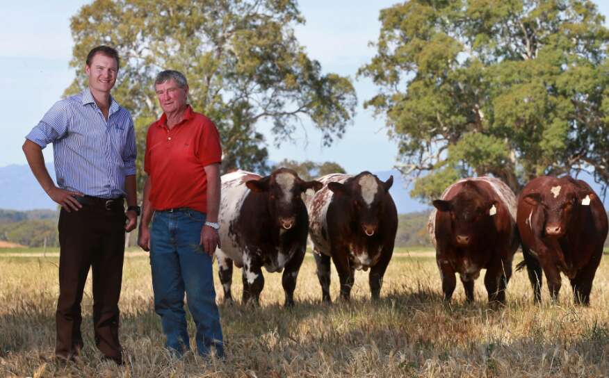 Excitement is high as Beef Week celebrates 35th anniversary ...