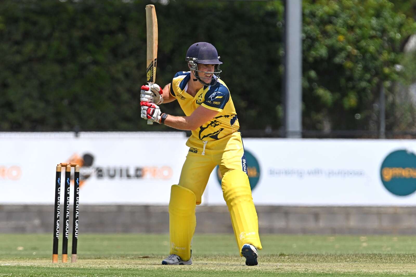 Haisman Shield | Gallery | ‘Masterful’ Andrew Riordan knock guides ...