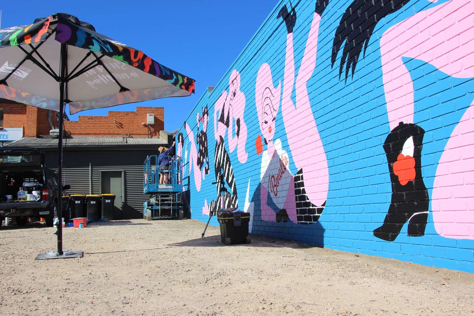 Neryl Walker’s first Benalla Street Art Festival | Dairy News Australia