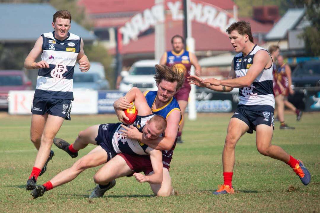 Lions mauled by slick Cats | Dairy News Australia