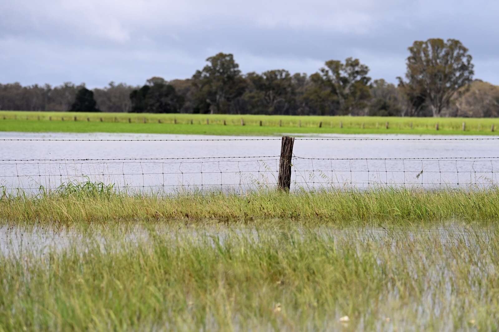 Strathbogie Council to implement updated flood controls | Seymour Telegraph