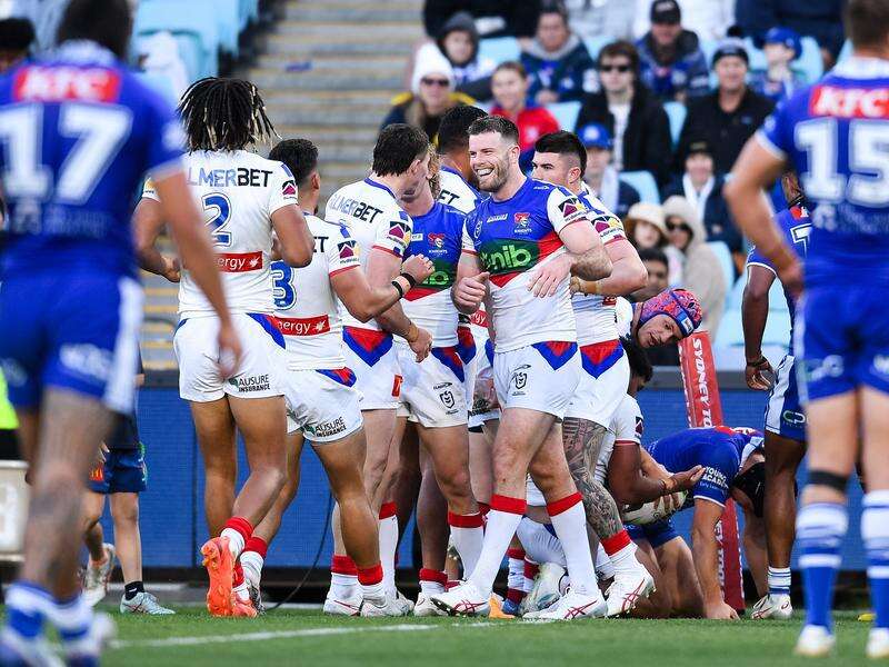 Bulldogs different team since Knights belting: Ciraldo | Kyabram Free Press