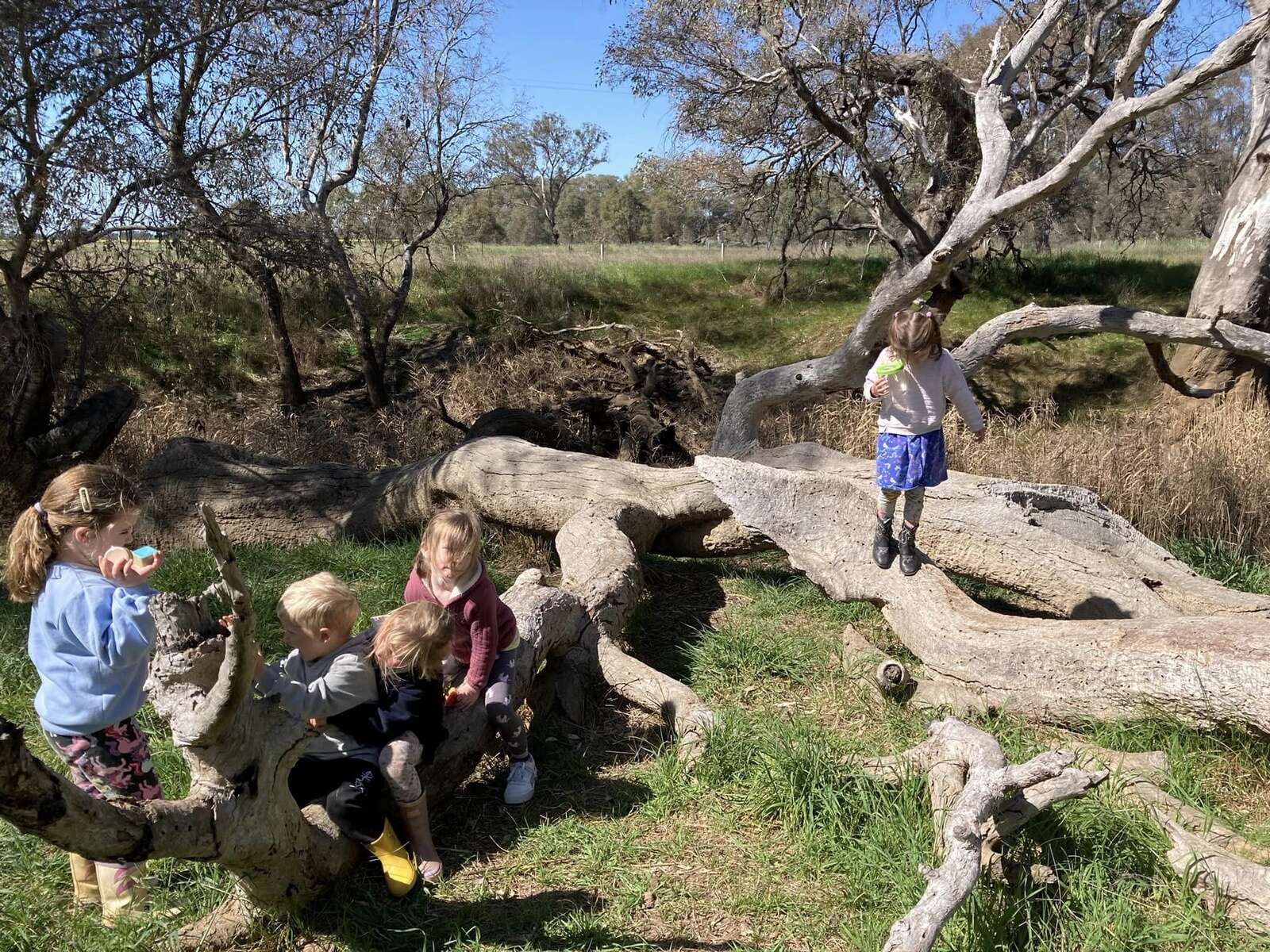 Colbinabbin Preschool is in top spot | Benalla Ensign