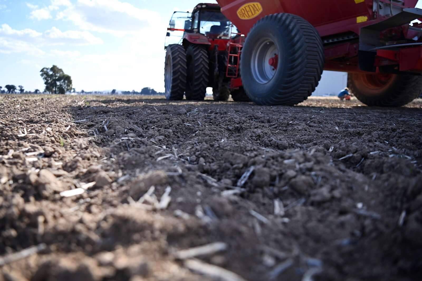 Winter cropping record possible | Country News