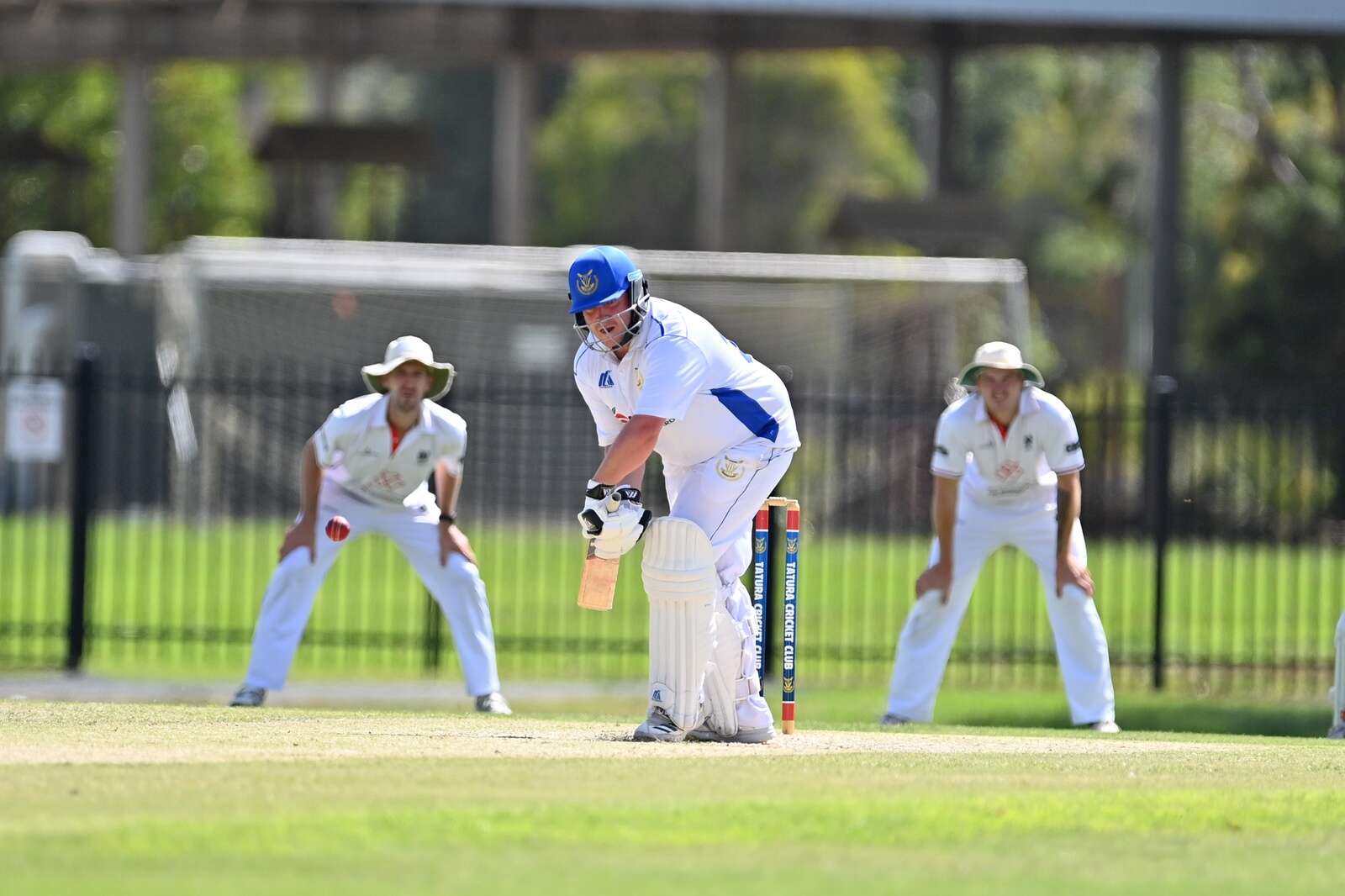 Coach’s knock revives Cats, but Tatura tracking towards two-day triumph ...
