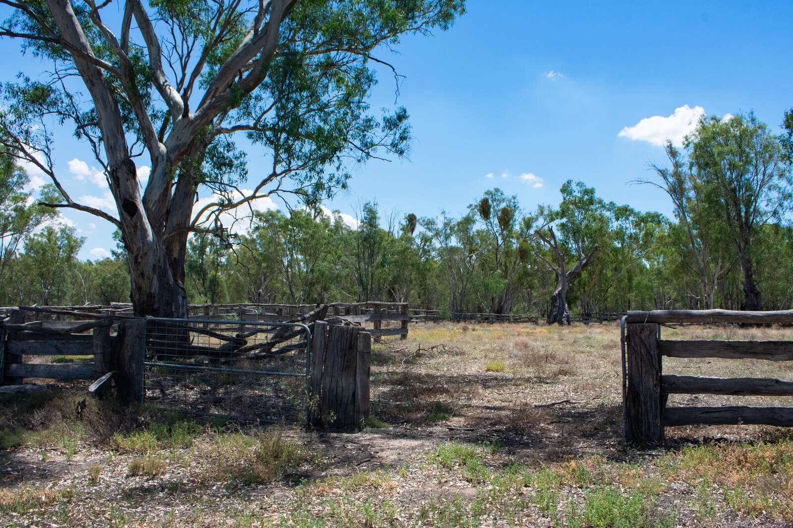 Barmah’s lost gem to receive important funding | Dairy News Australia