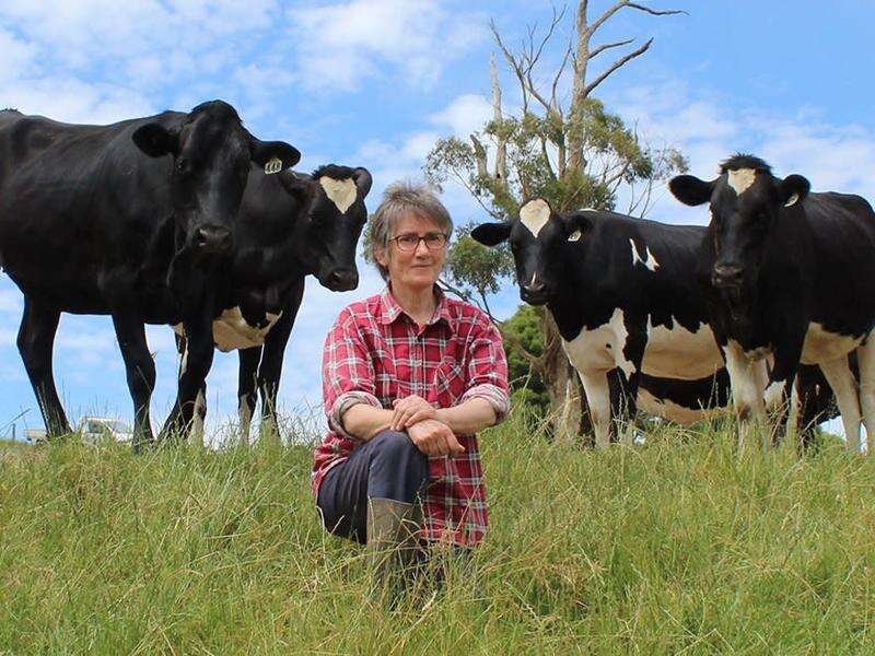 Do you have the right cows for your system? | Shepparton News