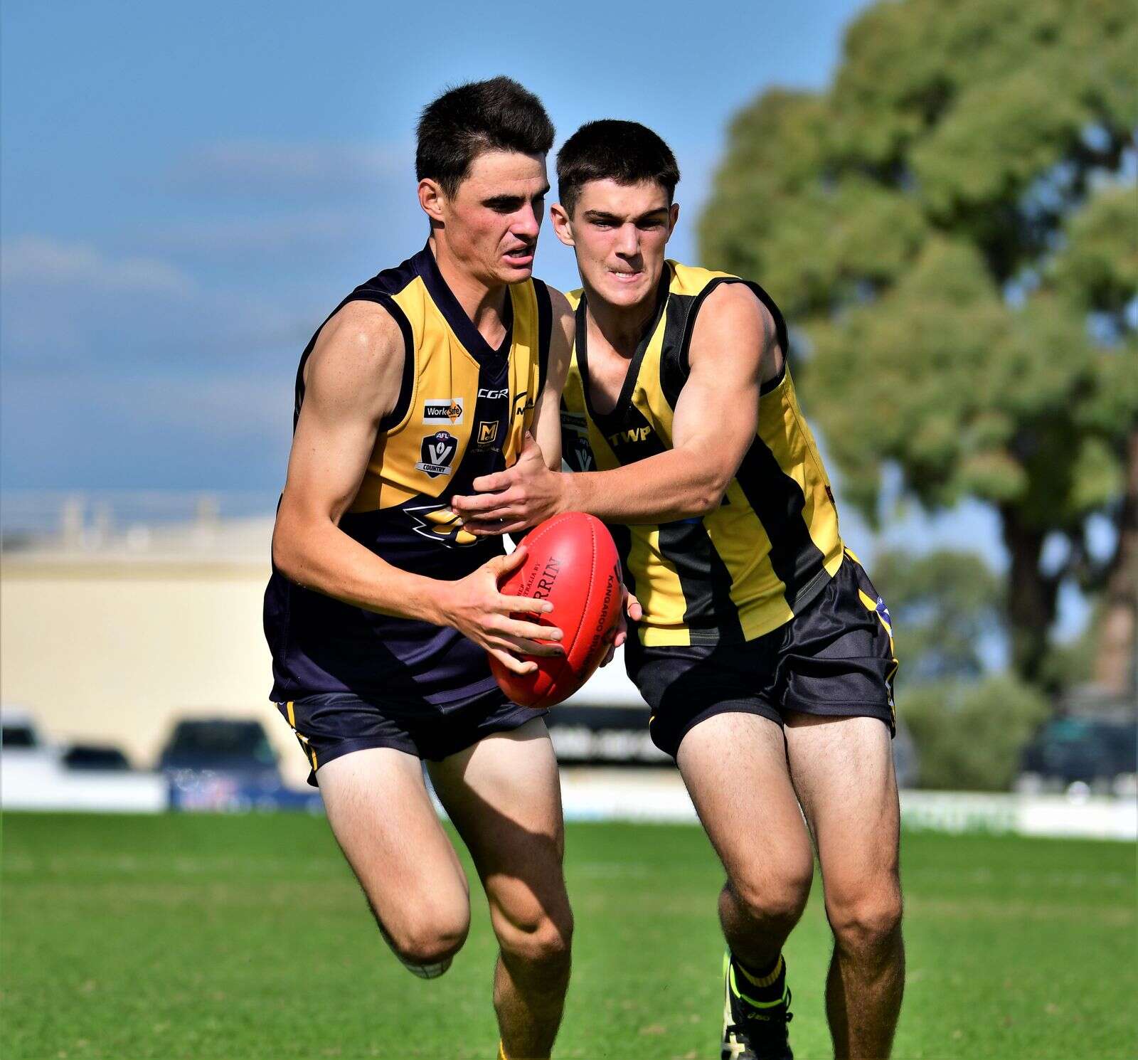 Cobram returns to winners list, PDFNL hits business end | Deniliquin ...