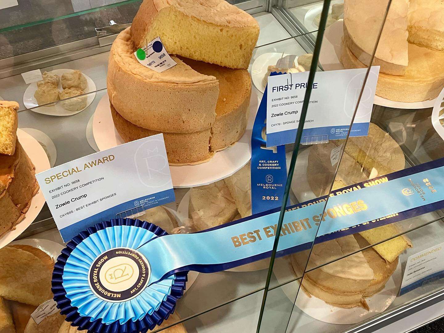 Best sponge in the state | Country News