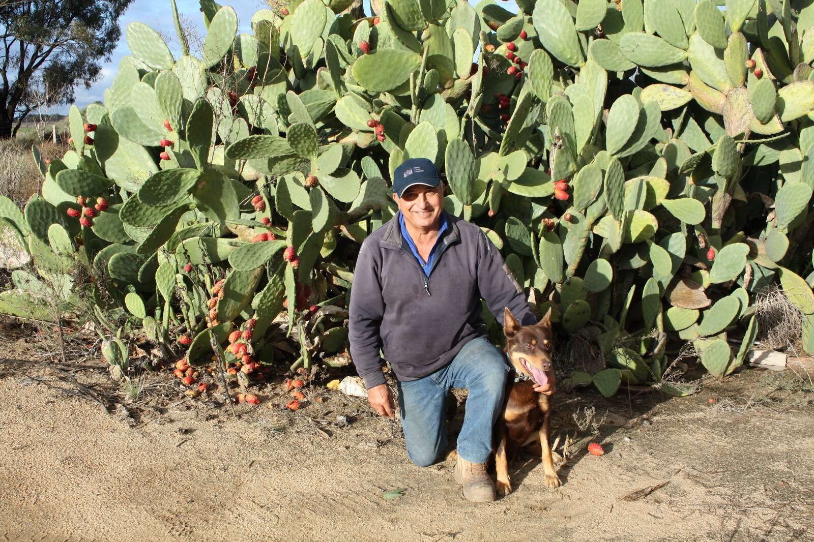 Always ready to chase a stick | Country News