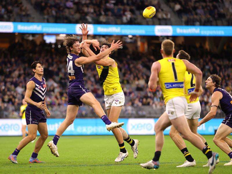 AFL gives green light to Dockers-Tigers goal review | Country News