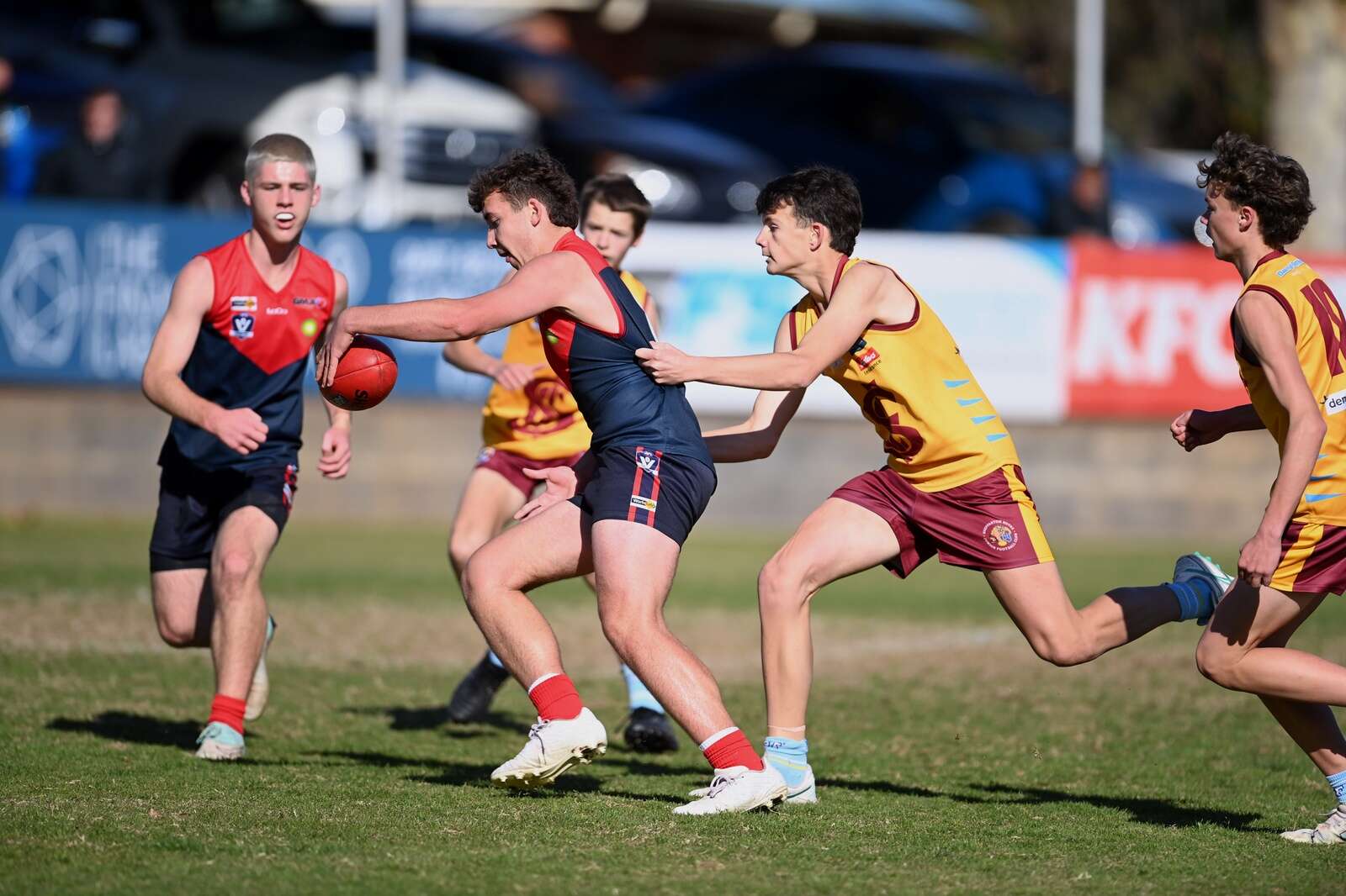 Gallery | Deakin Derby goes the way of United as Bears fall for the ...