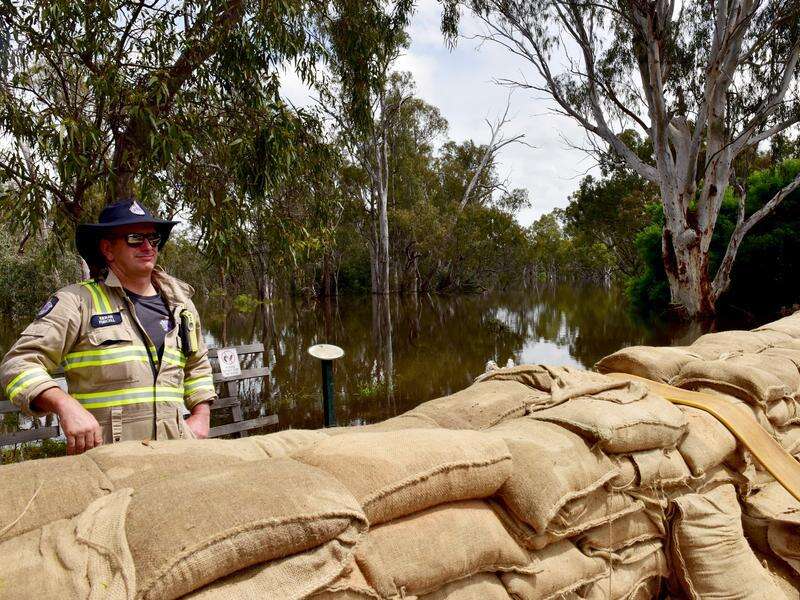 Authorities defend Echuca flood levee | Country News