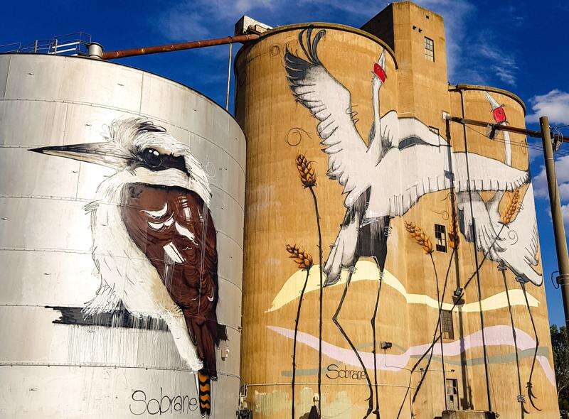 VIDEO: The creation of Tungamah's silo art | Country News