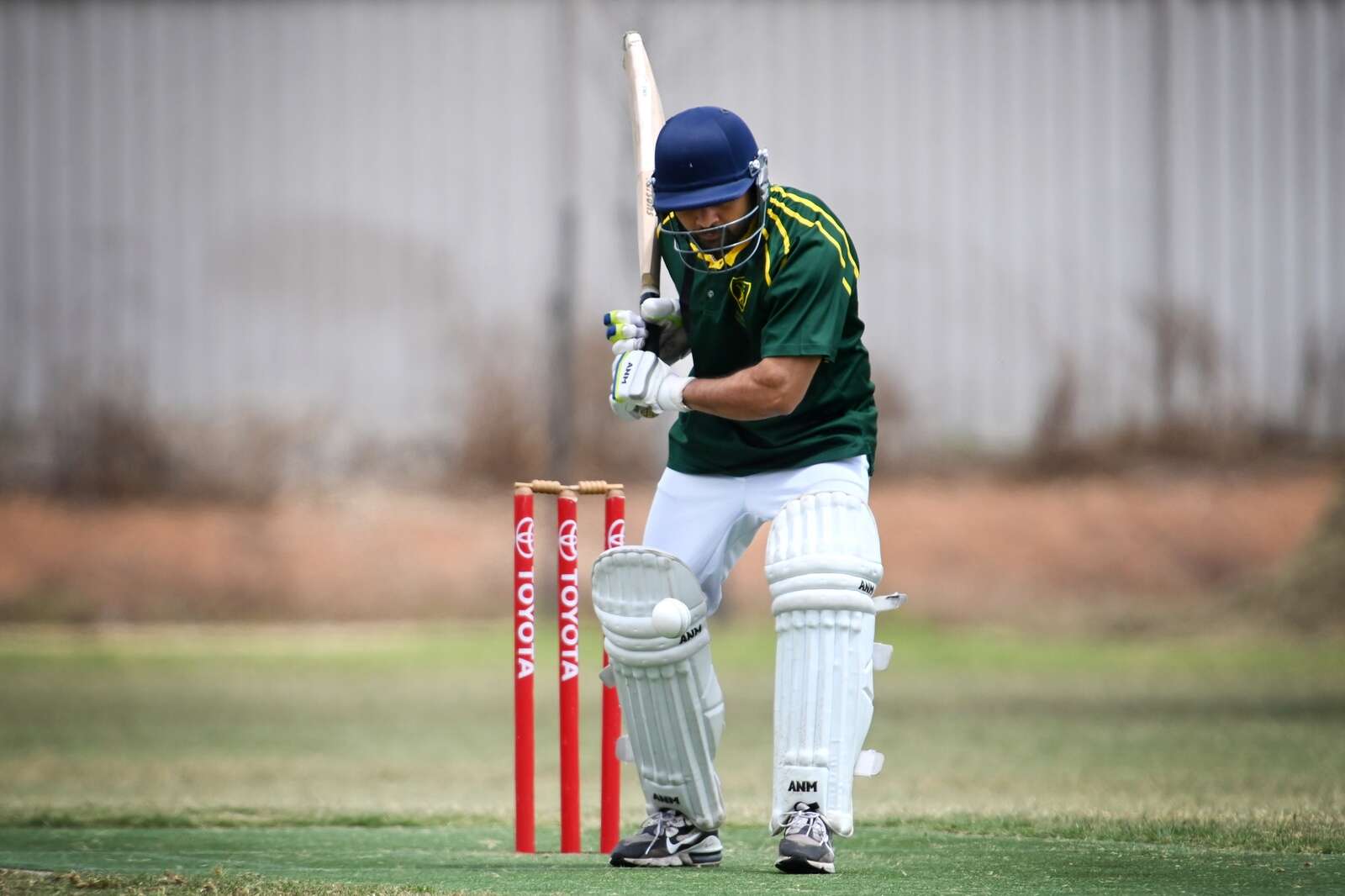 Cricket Shepparton outfit one of 12 clubs in Victoria to receive $5000 ...