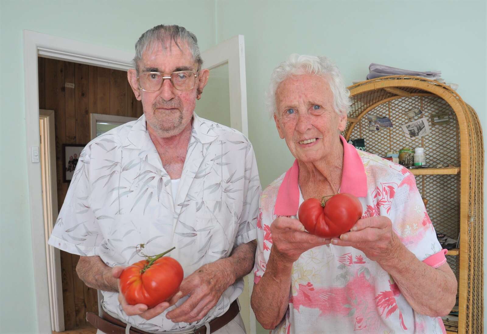 Whopper tomatoes bit of a mystery | Seymour Telegraph
