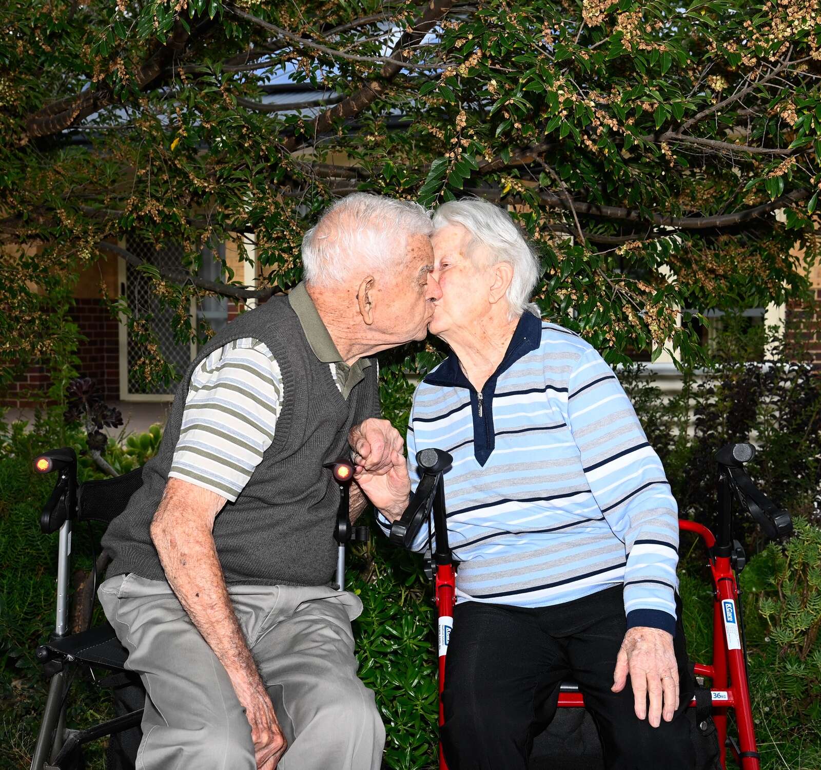 Seventy years of love for Trevor and Althea Taylor | Dairy News Australia