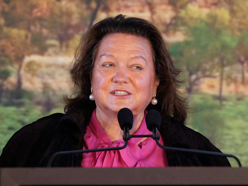 Rinehart's row with son: 'throw him under the bus' | Country News