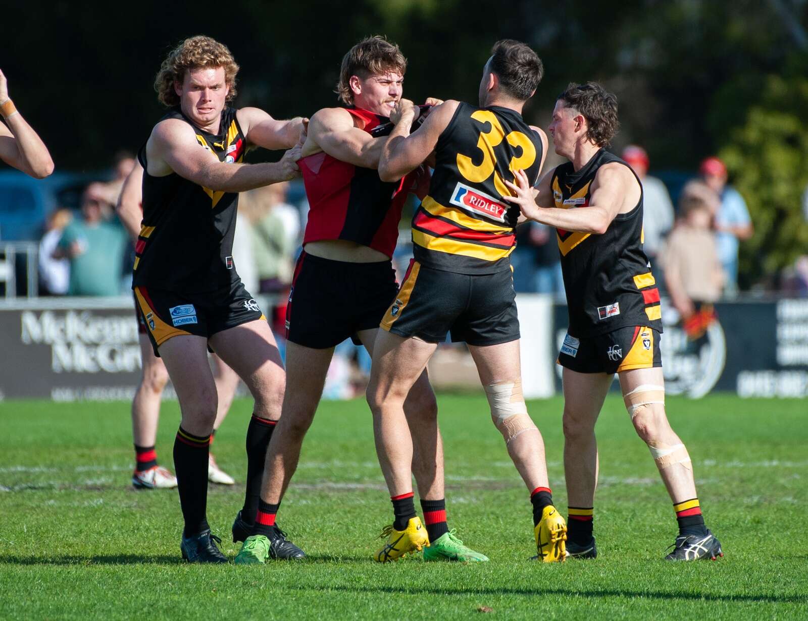 Heartbreak for Bombers on the HDFL’s biggest stage | Shepparton News