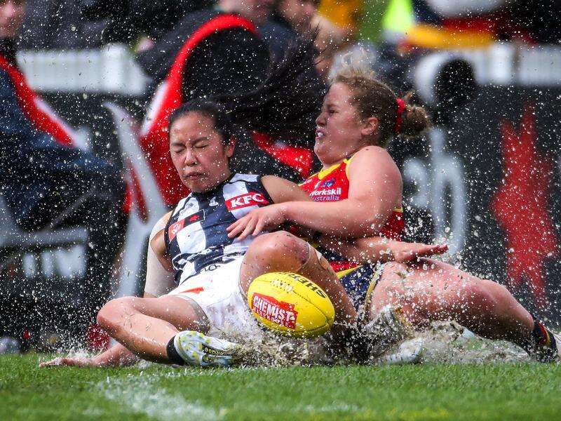 Crows beat Magpies, surge into AFLW prelim | Country News
