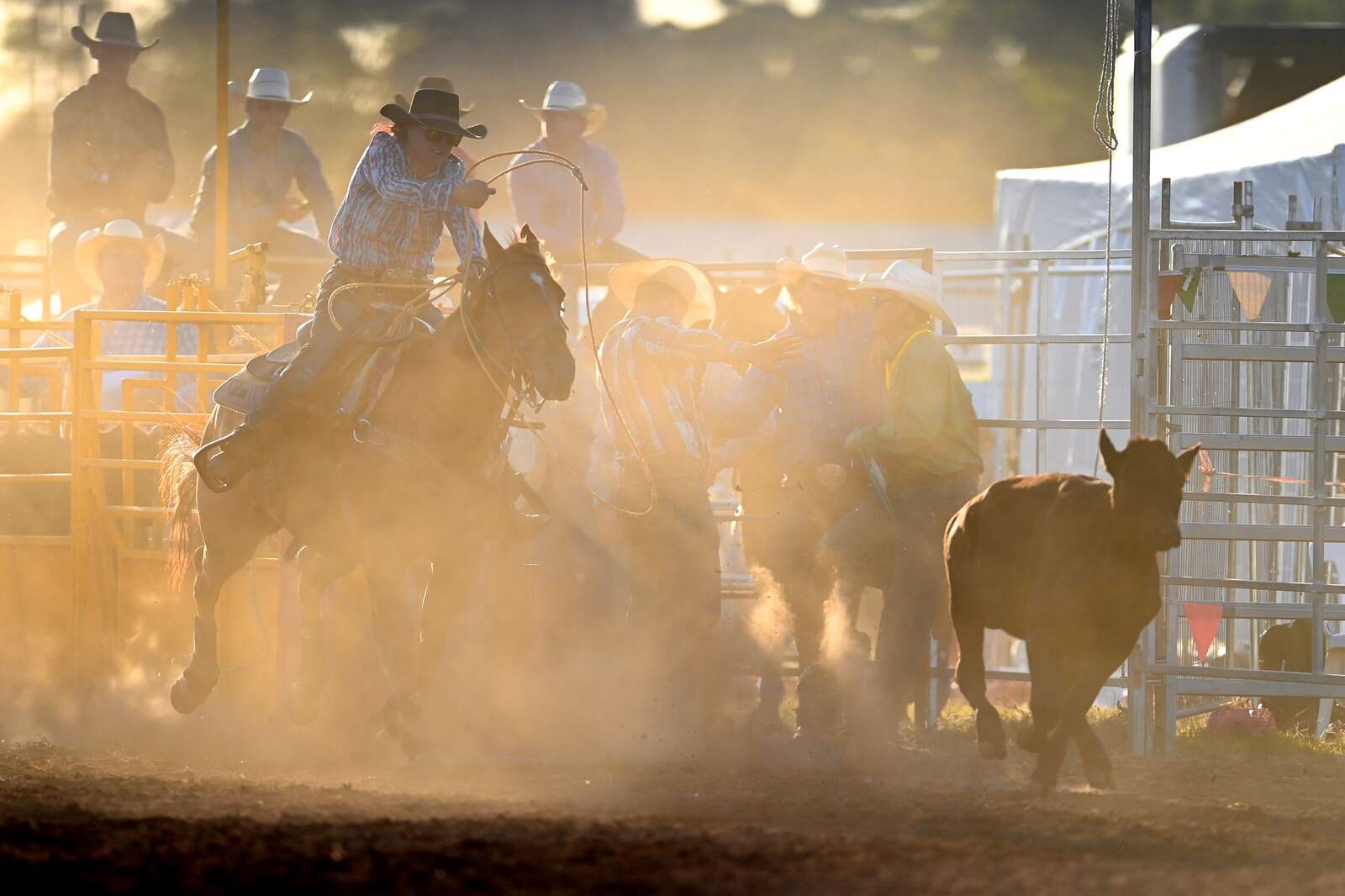Get ready for a Fabulous rodeo display | Deniliquin Pastoral Times
