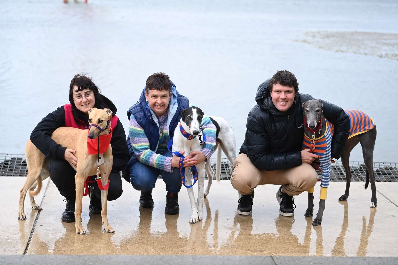 Walk to boost support for greyhound adoption | Country News