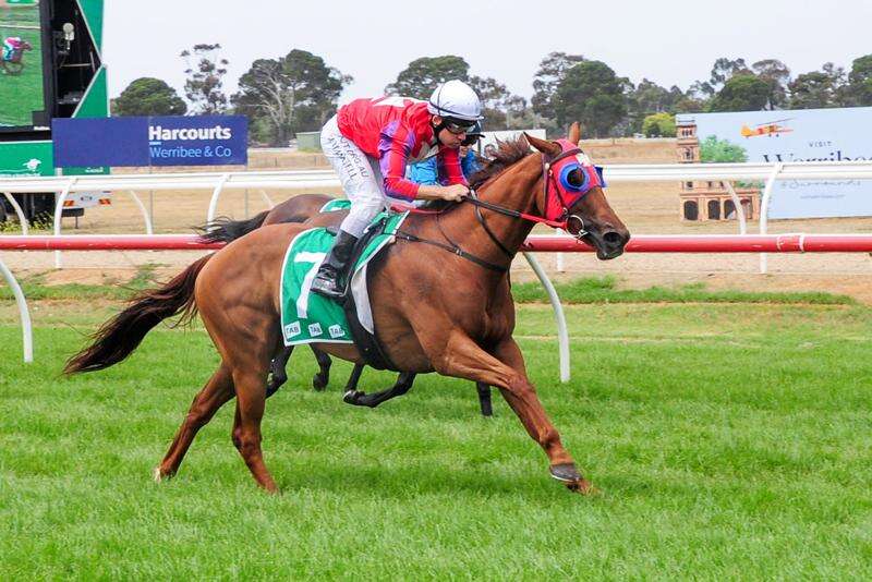 Locals ready for Echuca Racing Club meeting | Riverine Herald