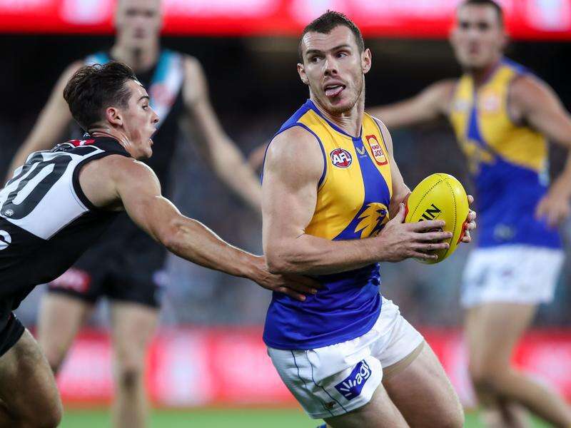 Eagles name Shuey AFL captain again, Nic Nat steps down | Dairy News ...