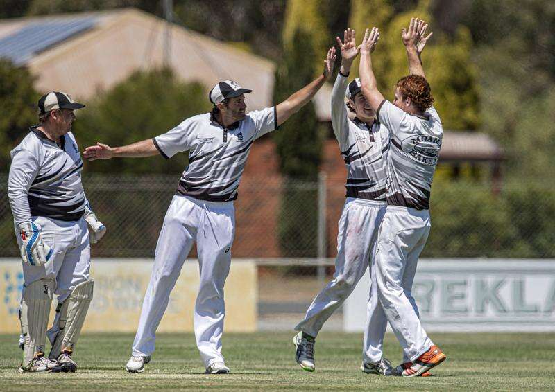 Moama to remain in Goulburn Murray Cricket | Shepparton News