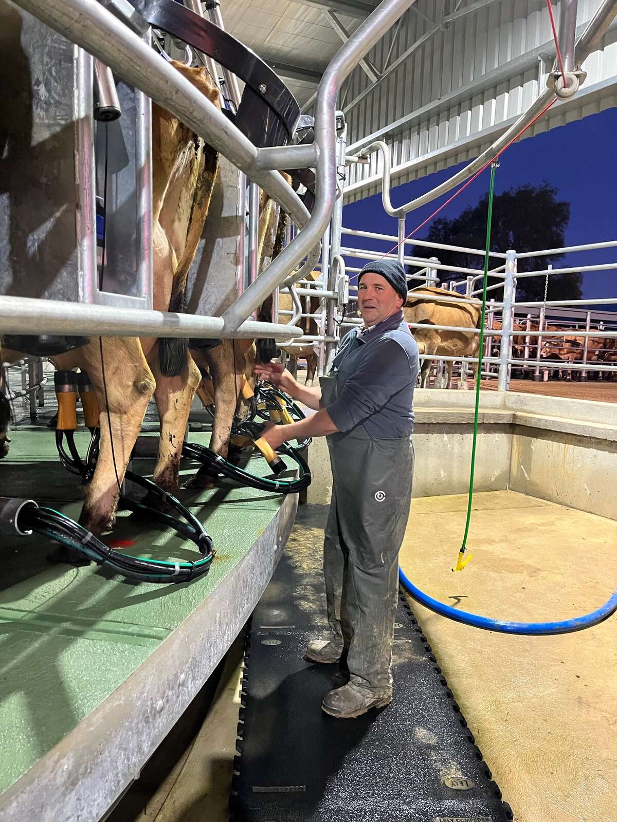 New dairy was worth the wait | Dairy News Australia