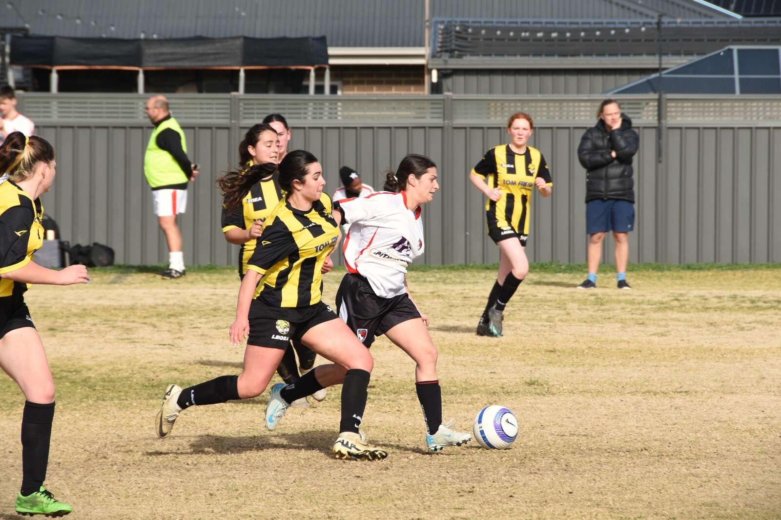 Suimae takes the cake with deadly double as Iannucci strike gives Roar ...