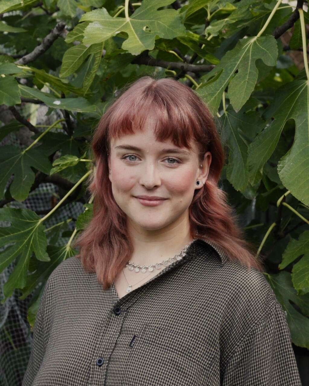 Here’s the crunch: soil health in organic orchards is not so different ...