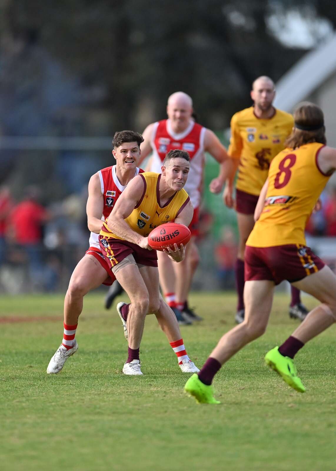 Gallery | The poor Swans can’t catch a break | Seymour Telegraph