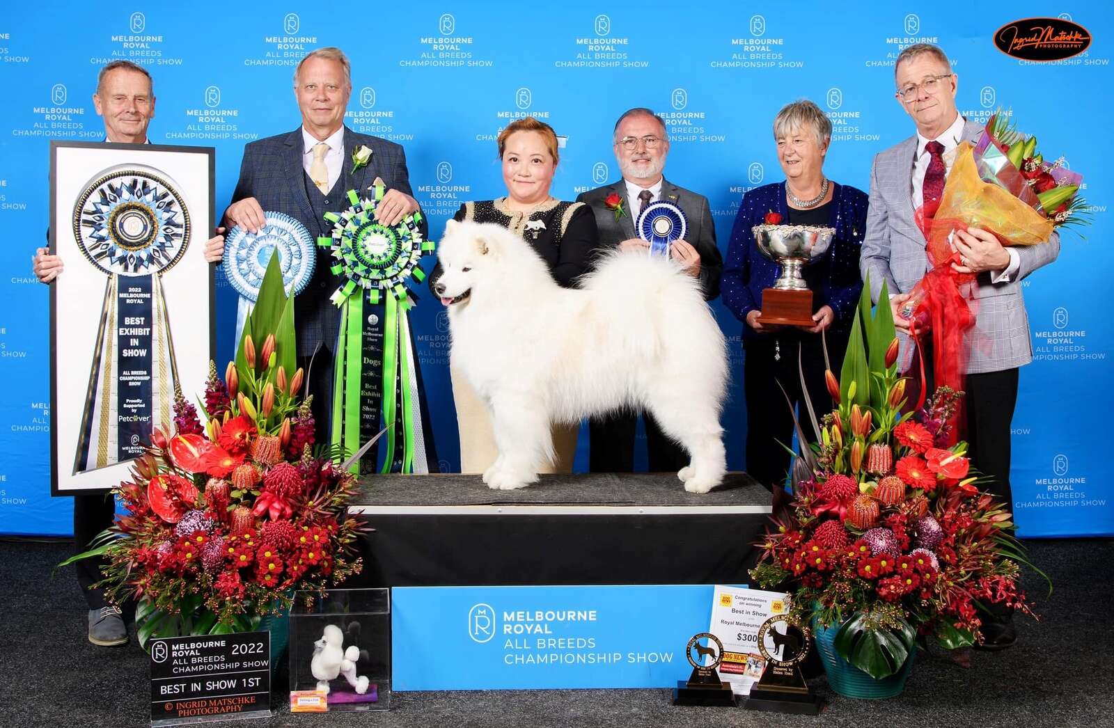 Tog dogs to be unleashed on Flemington | Country News