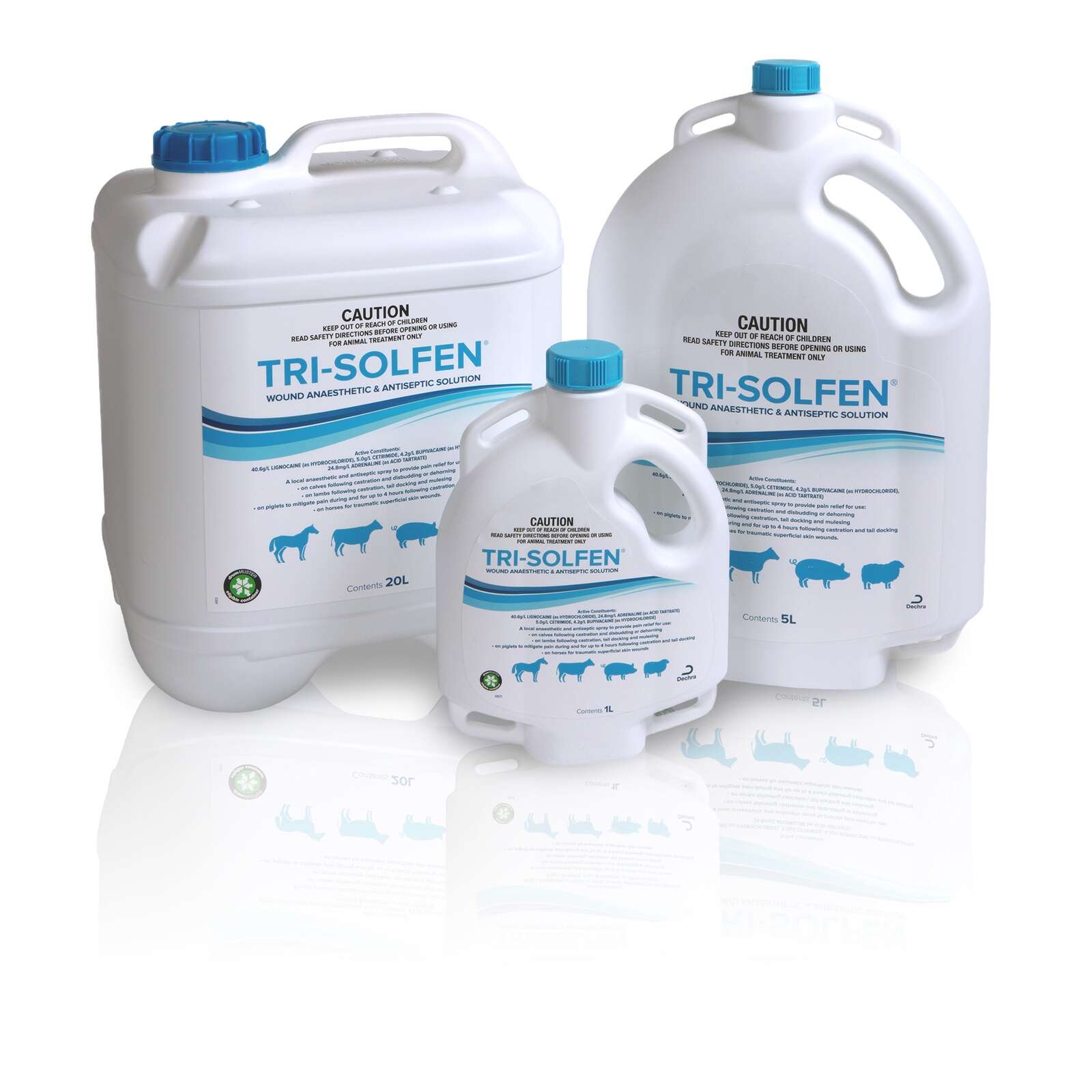 Let’s talk about pain relief in calves | Dairy News Australia