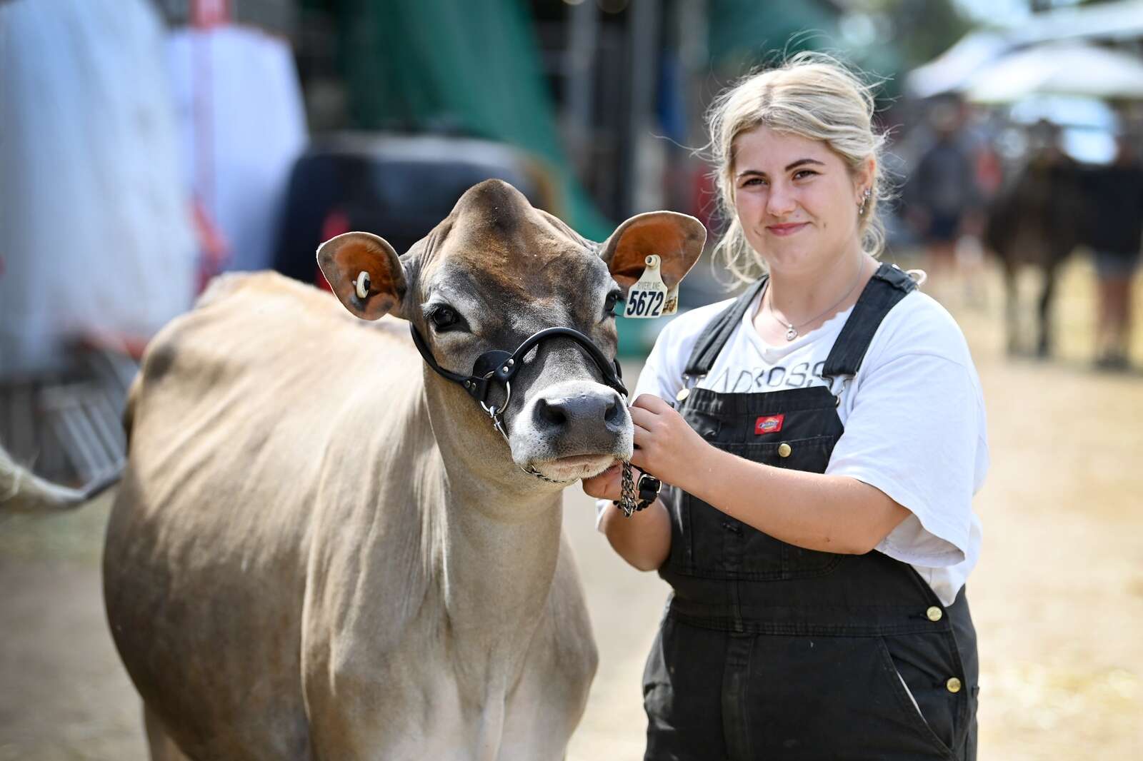 Sienna in national competition | Country News