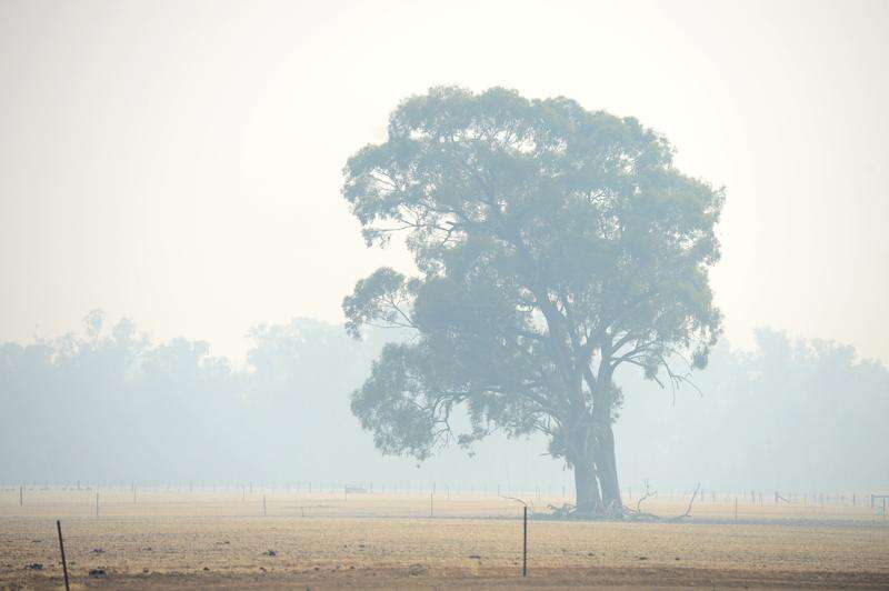 Haze hazard is still a risk | Southern Riverina News