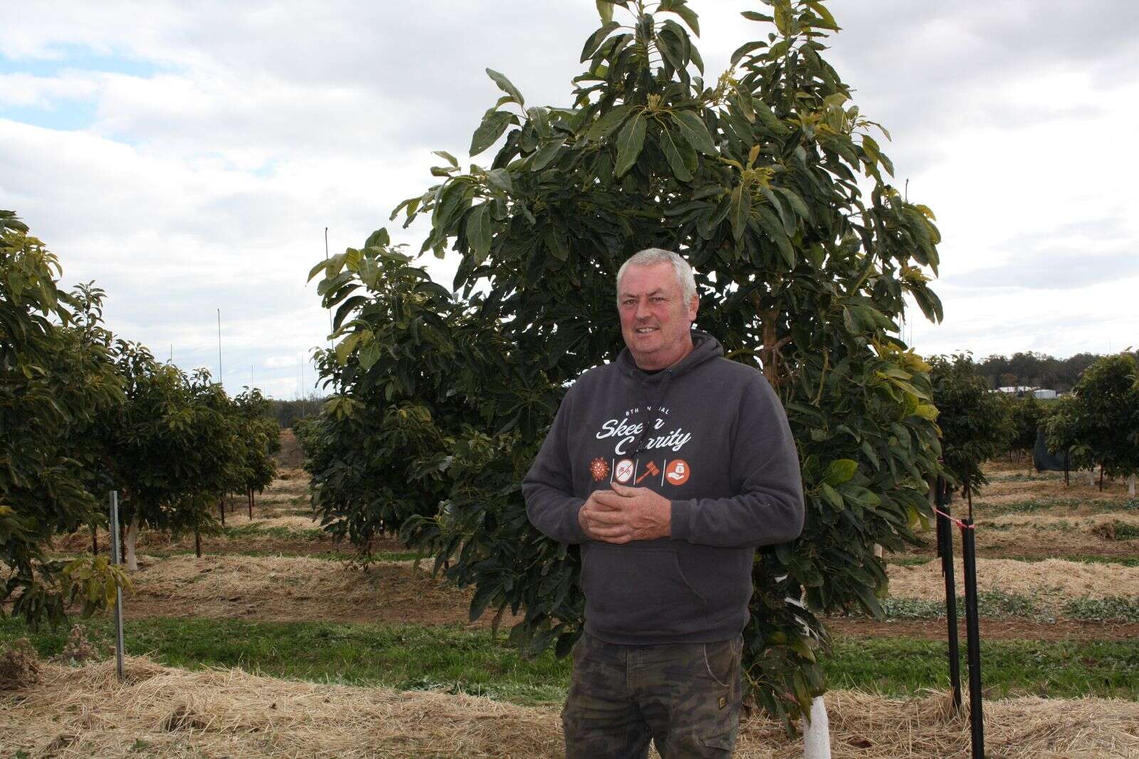Tradie farmer opens up avocado orchard | Country News
