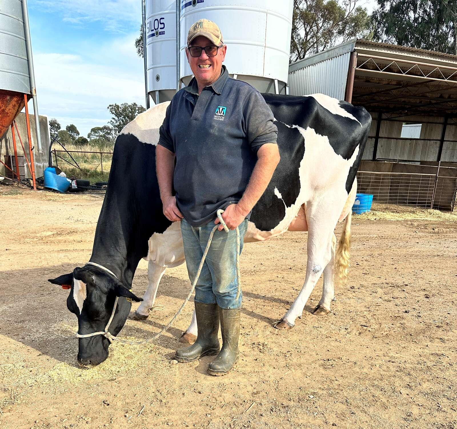 Genetics in polled position | Dairy News Australia