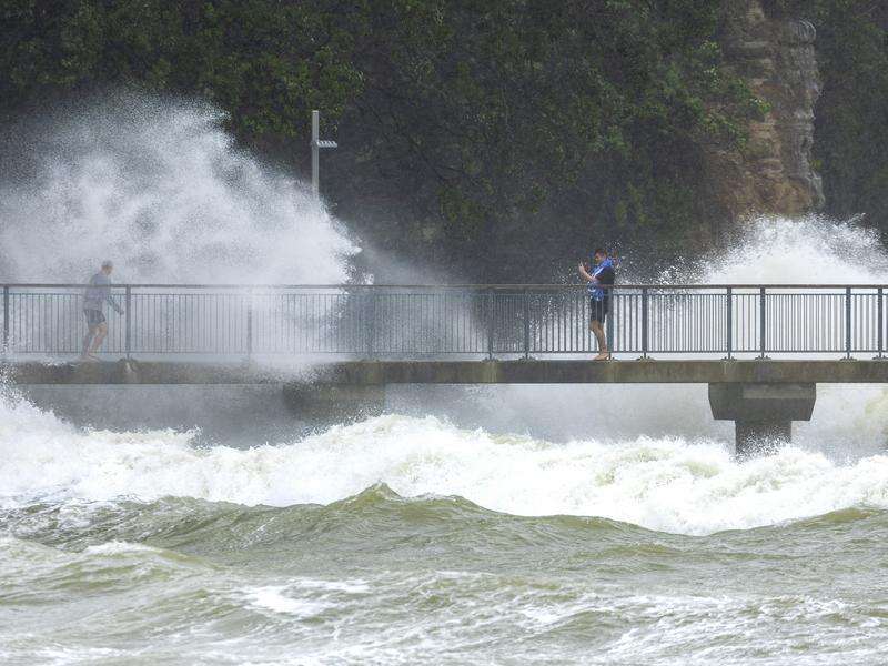 Cyclone Gabrielle heading for New Zealand | Country News