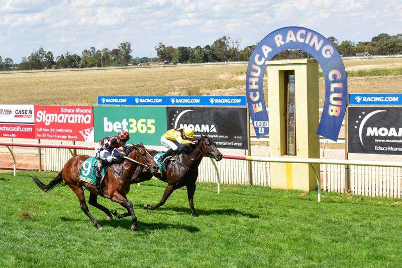 Echuca closes year with country racing | Shepparton News