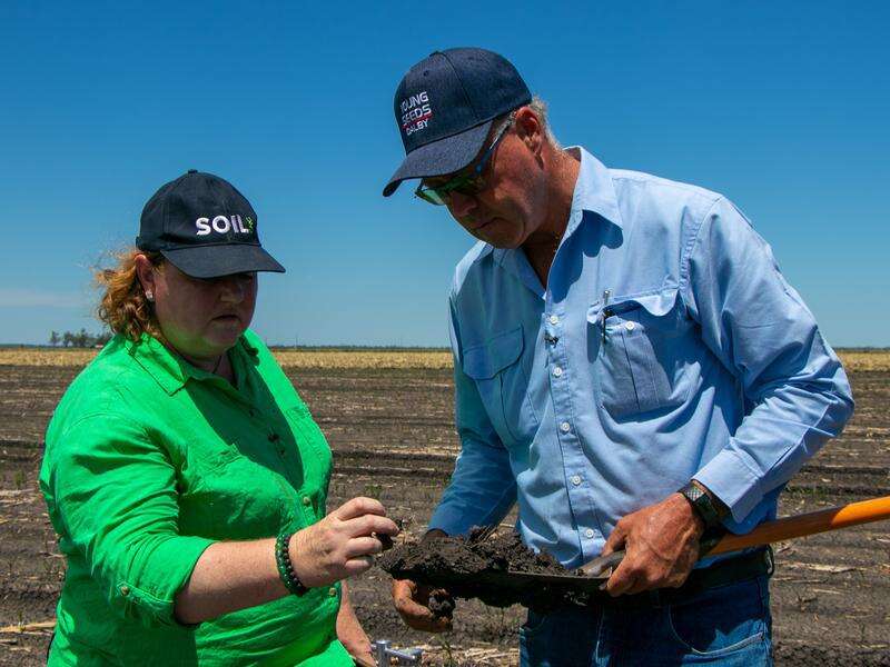 Soils summit sowing the seeds of regenerative farming | Country News