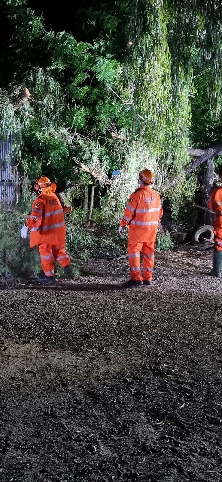 SES tree removal clean-up | Deniliquin Pastoral Times