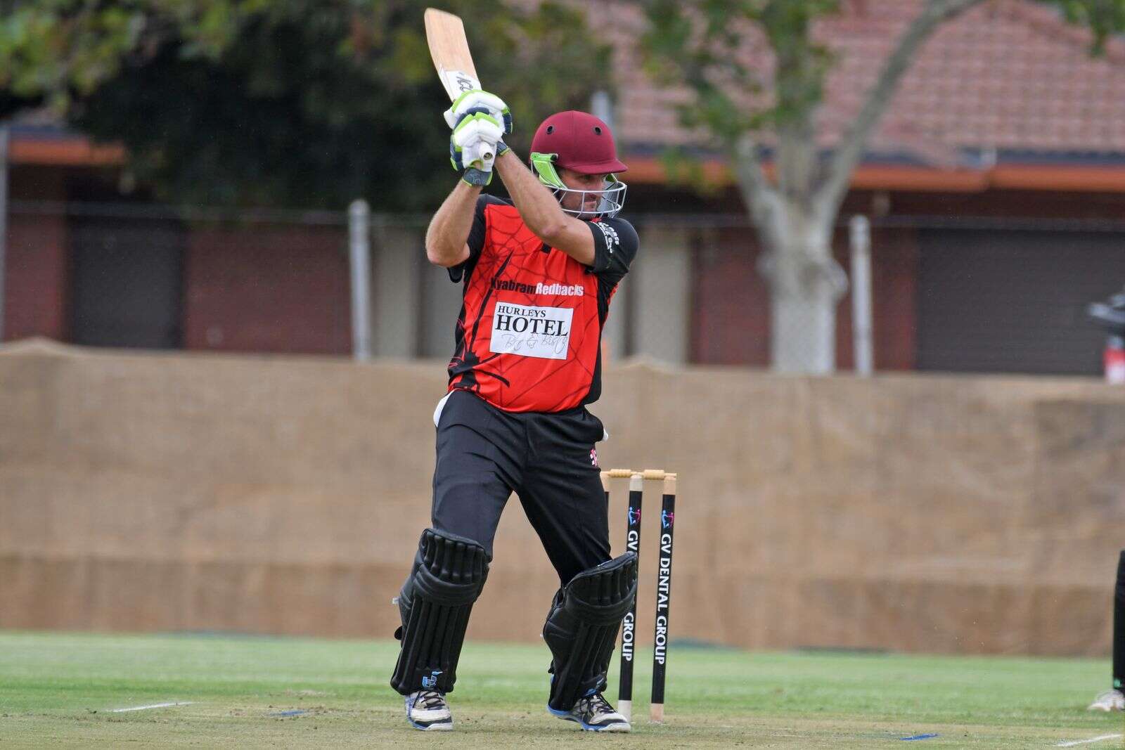 Watch the Haisman Shield grand final here | Shepparton News