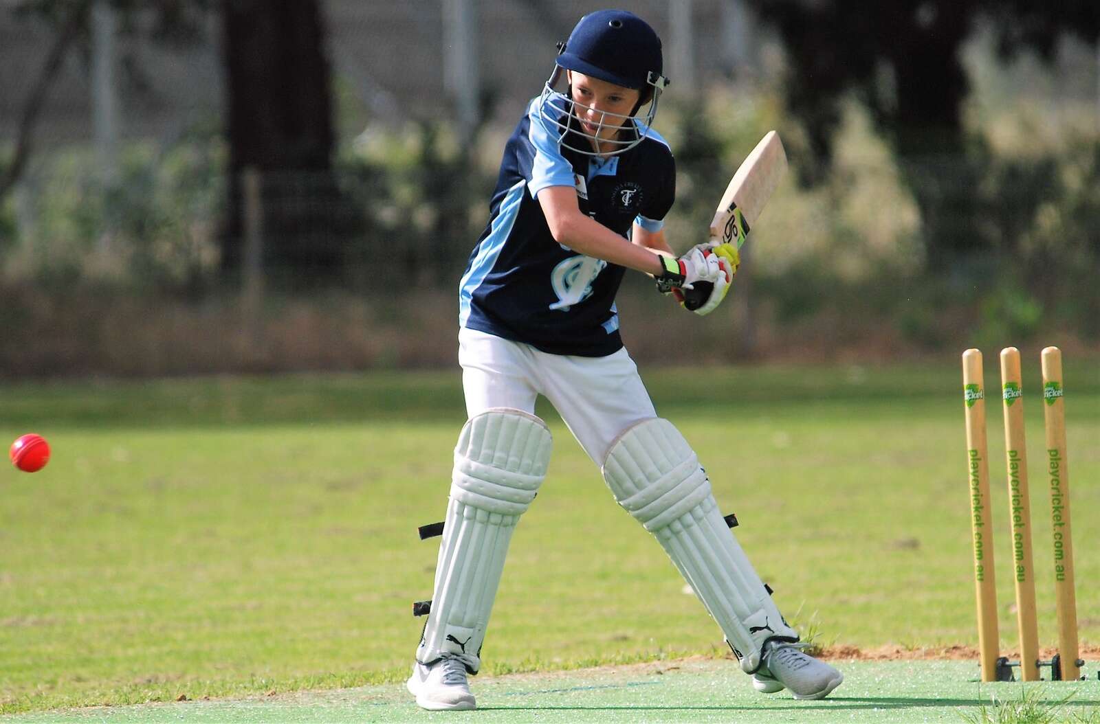 Another M.Elliott dominating junior cricket | Kyabram Free Press