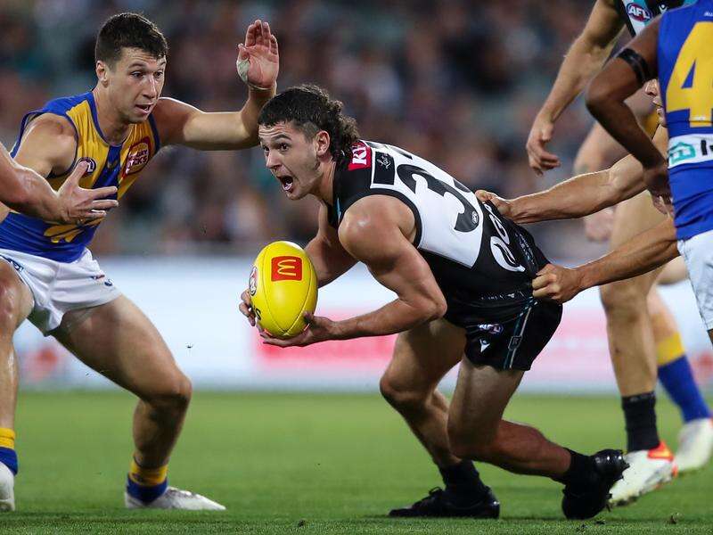 Port's AFL defensive stocks take COVID hit | Country News